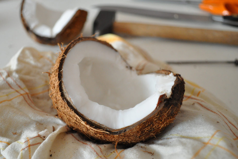 Recette : bain de bouche à l'huile de coco | NatureBio Dental ...